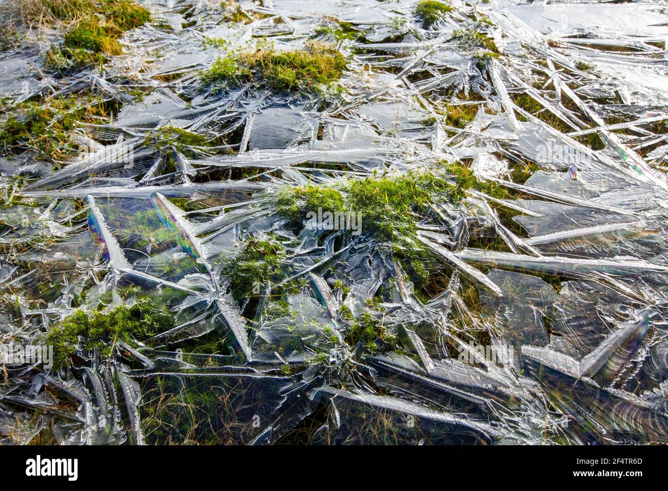 Ice patterns on a frozen bog pool on Fairfield, Lake District, UK Stock ...