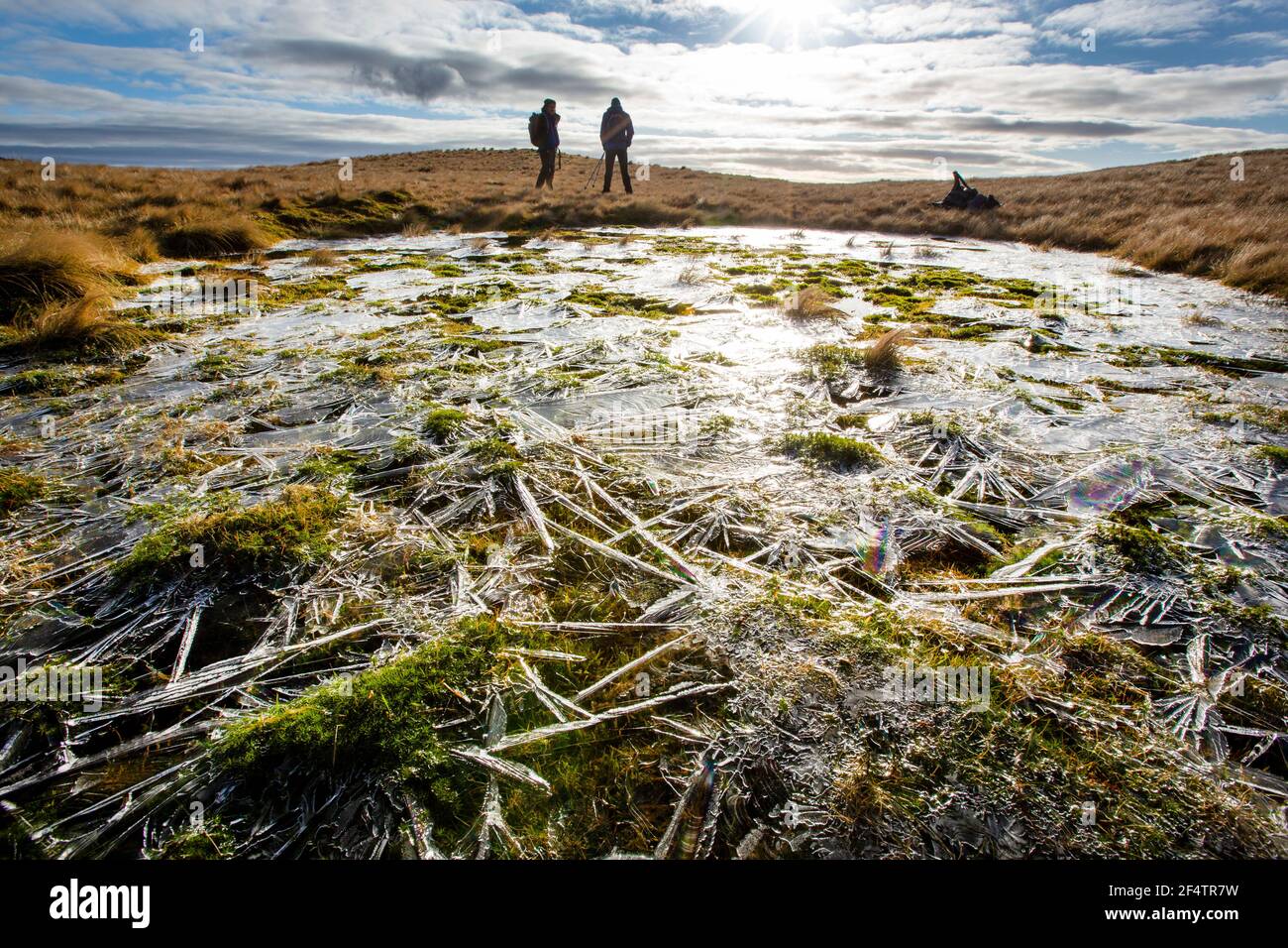 Ice patterns on a frozen bog pool on Fairfield, Lake District, UK Stock ...