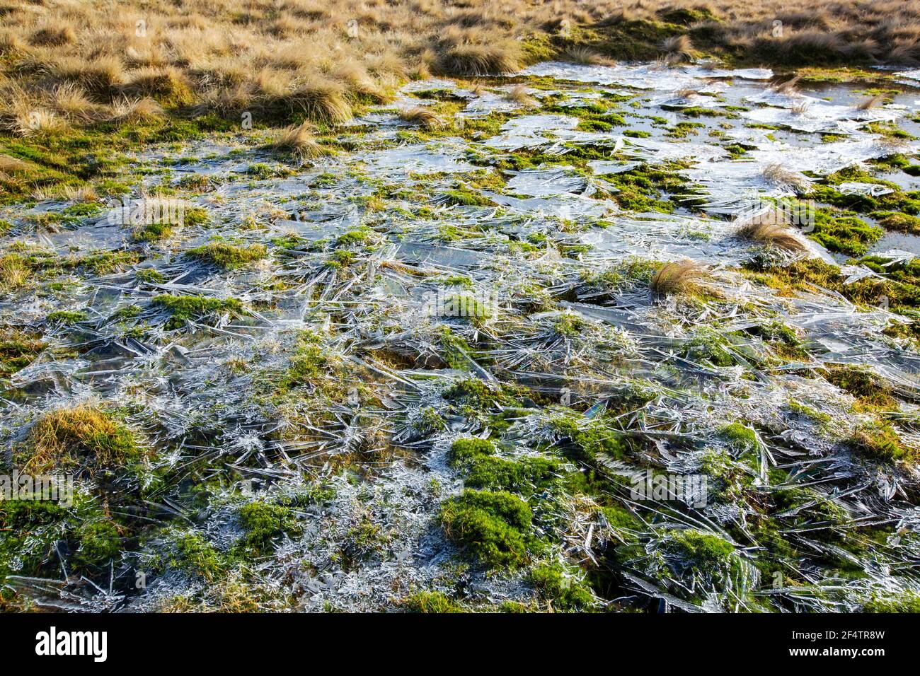 Ice patterns on a frozen bog pool on Fairfield, Lake District, UK Stock ...