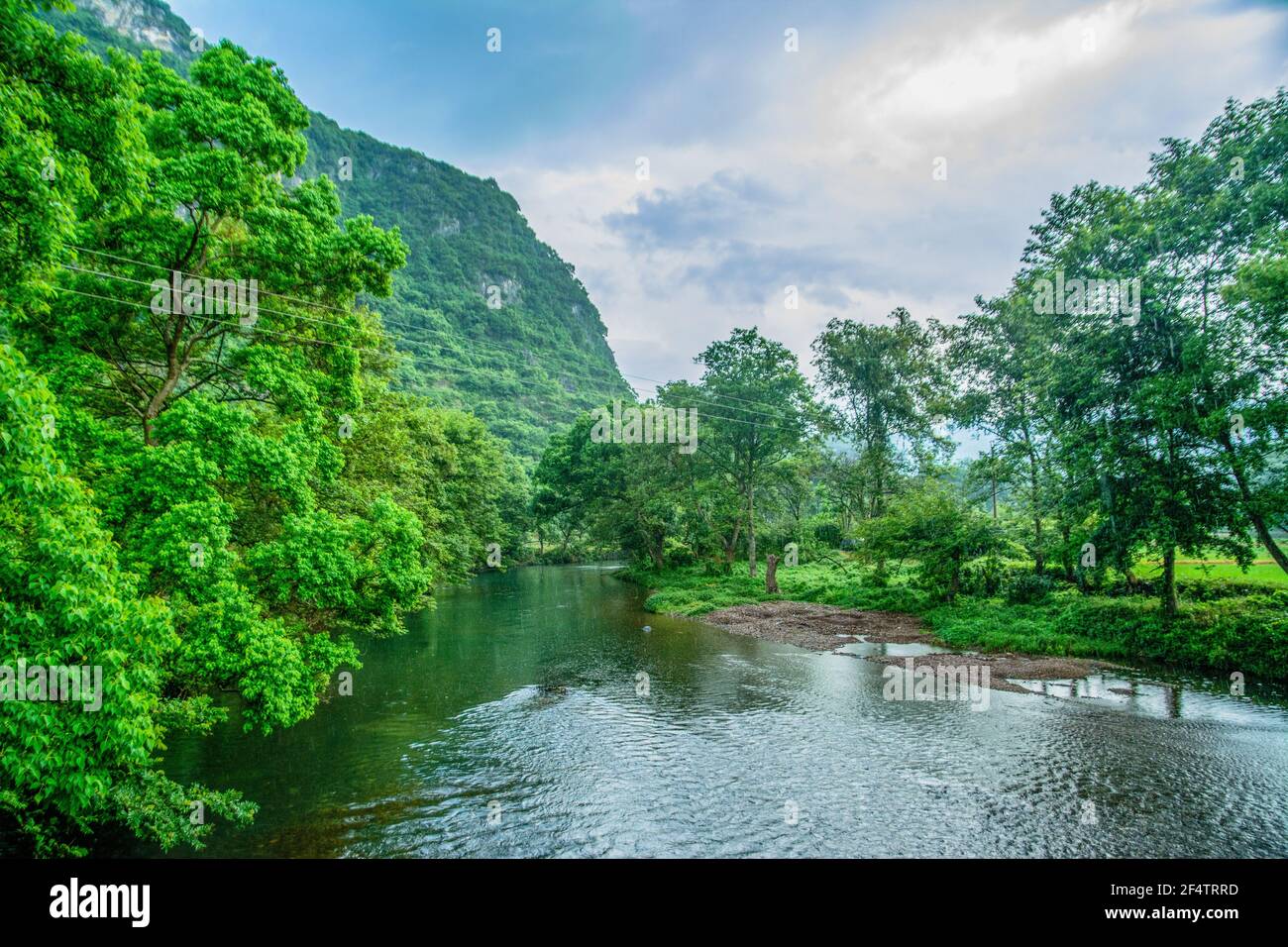 The river and green tree scenery in spring Stock Photo - Alamy
