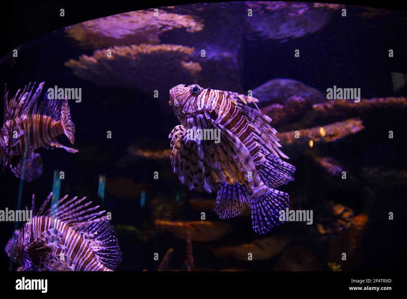 Jenks oklahoma hi-res stock photography and images - Alamy