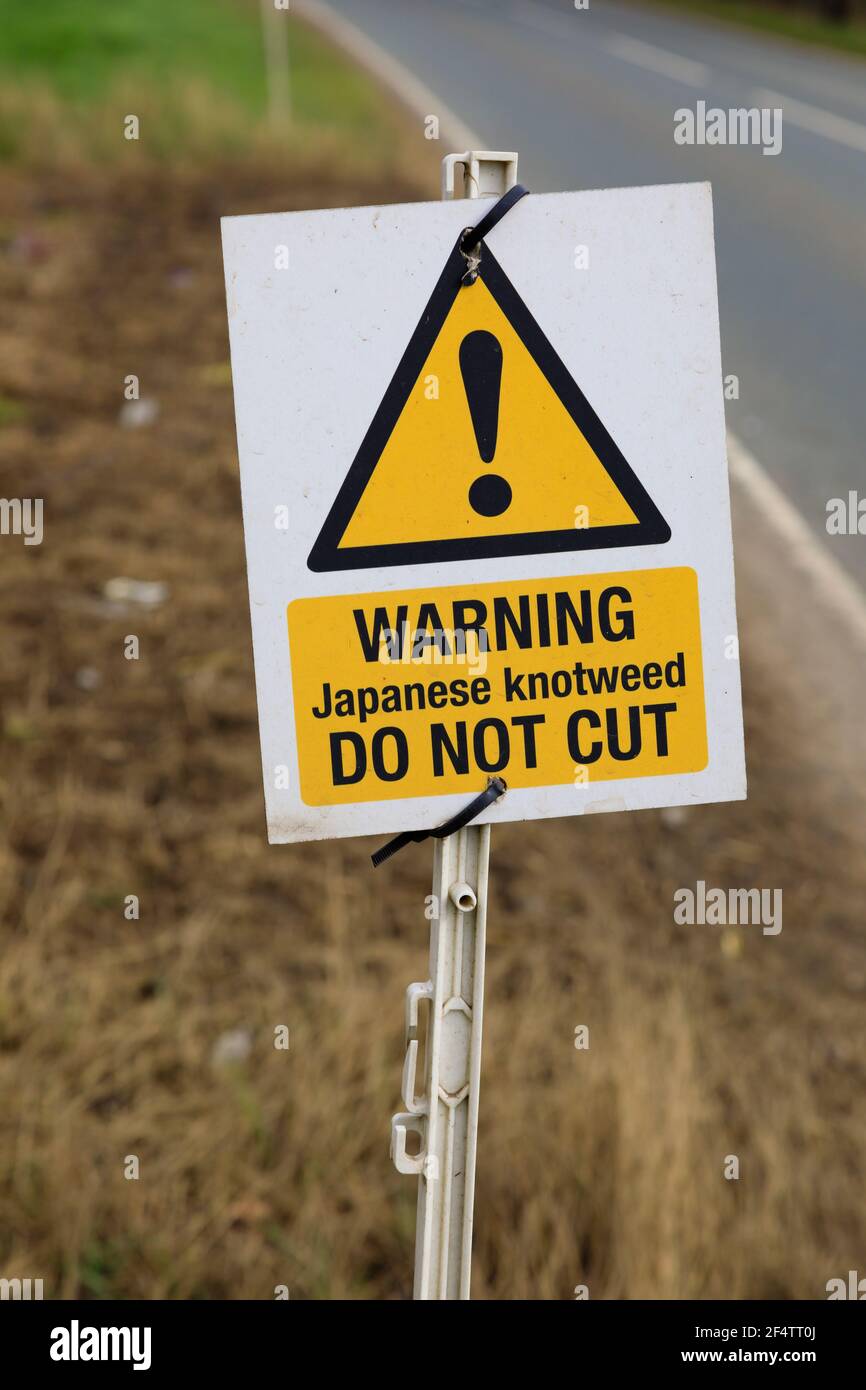 Japanese Knotweed hazard warning signs near Honington Village, near ...
