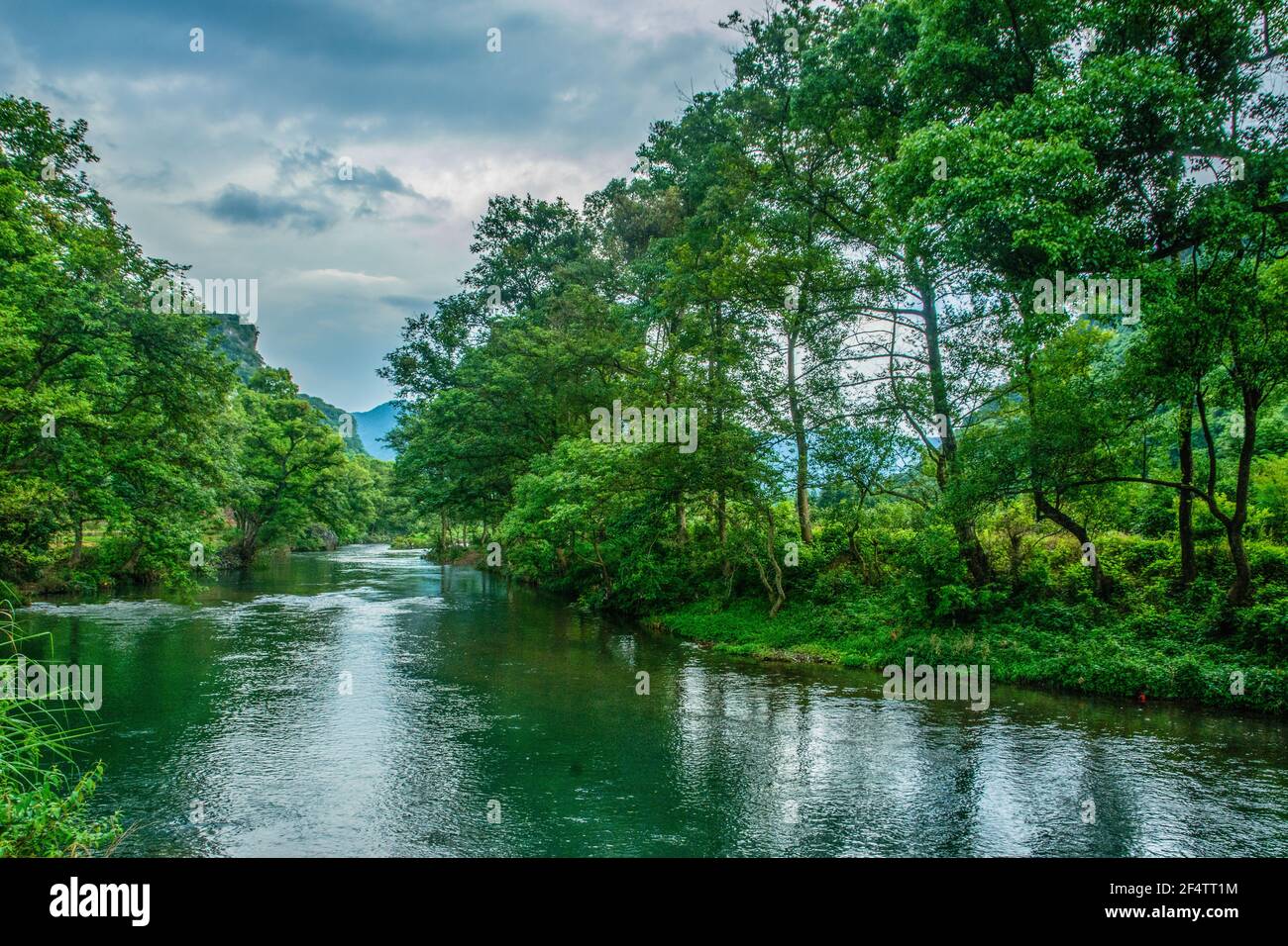 Spring scenery hill tree hi-res stock photography and images - Alamy