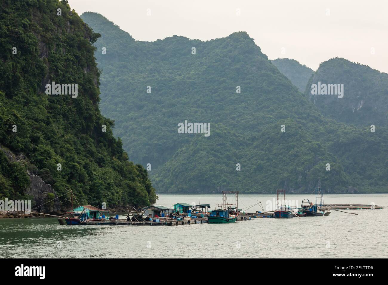 Floating Village and Fisher of the Halong Bay in Vietnam Stock Photo ...