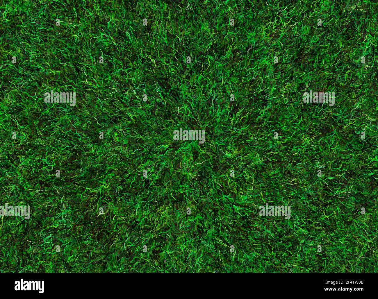 top view of meadow lush green grass texture Stock Photo - Alamy