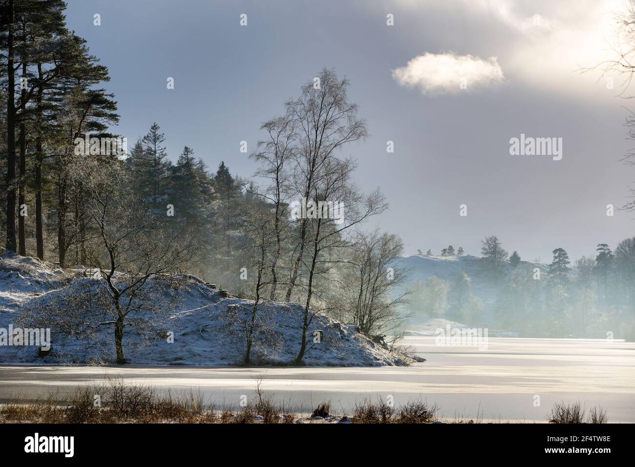 Misty conditions at Tarn Howes frozen over in winter, Lake District, UK ...