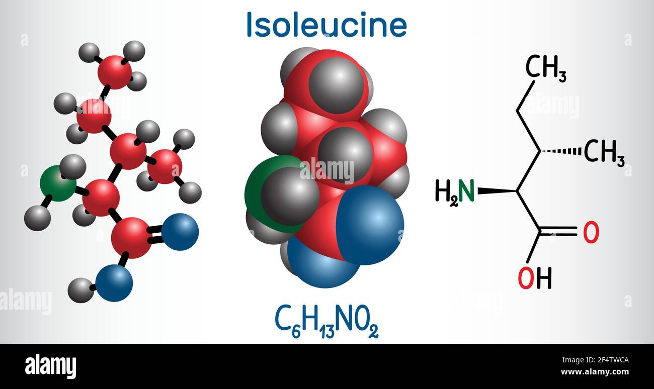 Isoleucine (L- isoleucine , Ile, I) amino acid molecule. It is used in ...