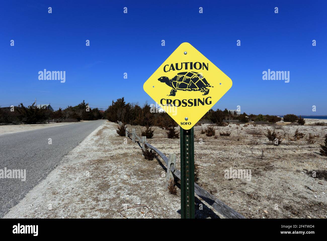 Turtle crossing sign East Hampton Long Island New York Stock Photo - Alamy