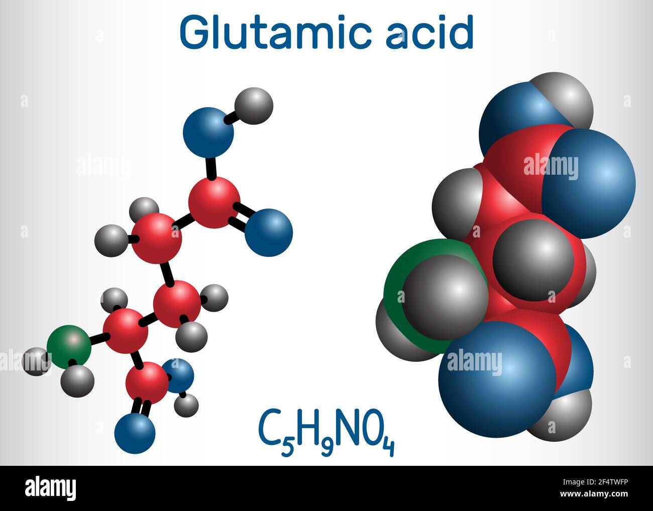 Glutamic acid amino acid molecule hi-res stock photography and images ...
