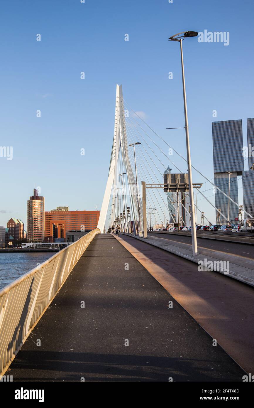 Erasmus Bridge, Rotterdam Stock Photo - Alamy