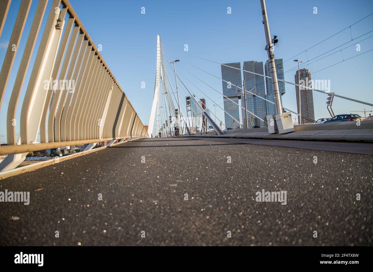 Erasmusbur hi-res stock photography and images - Alamy