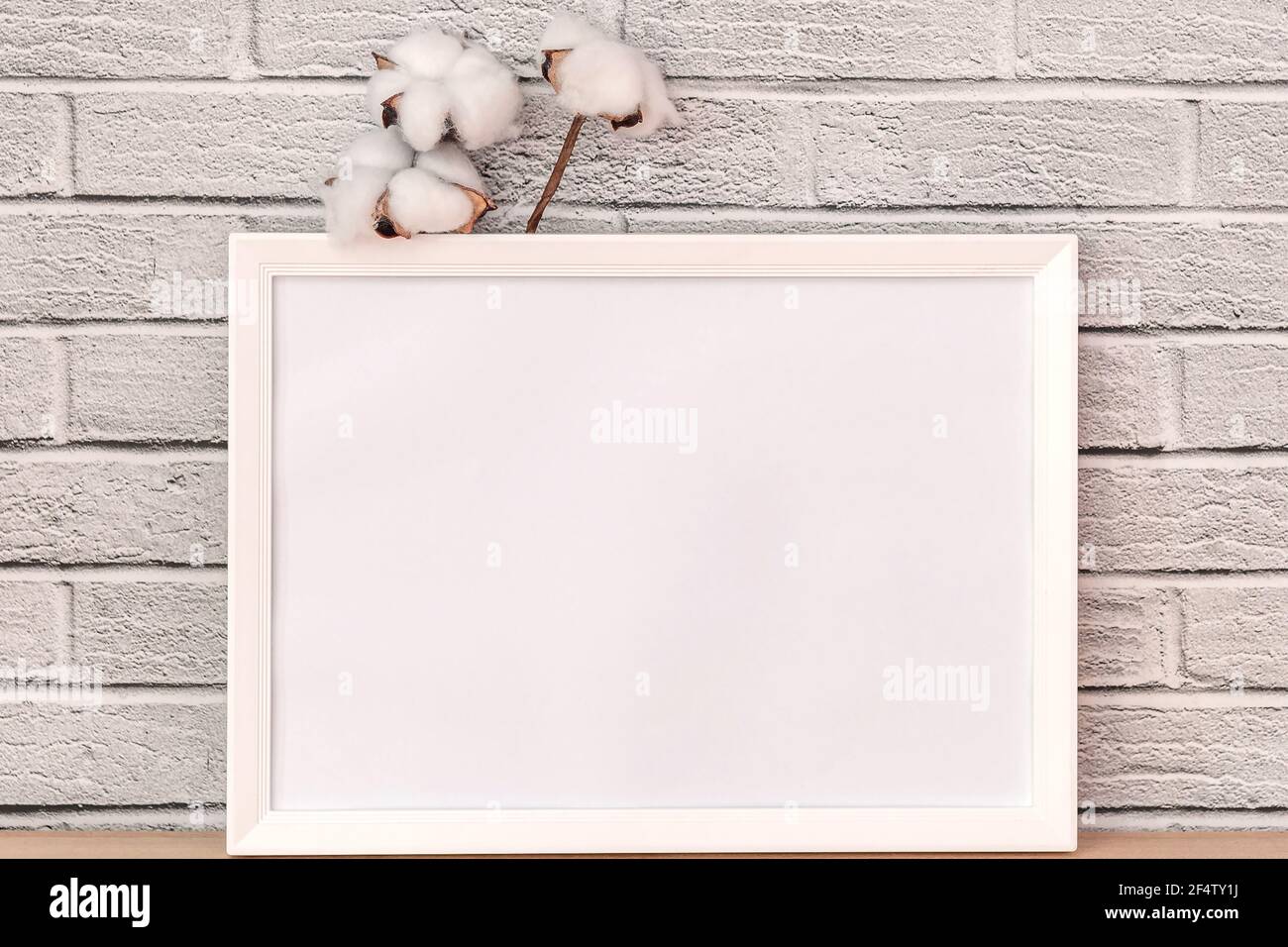 Elegant twig of beautiful white cotton Stock Photo - Alamy