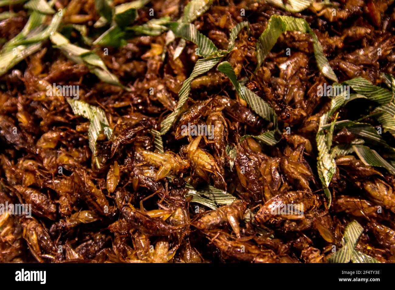 Cricket stall hi-res stock photography and images - Alamy