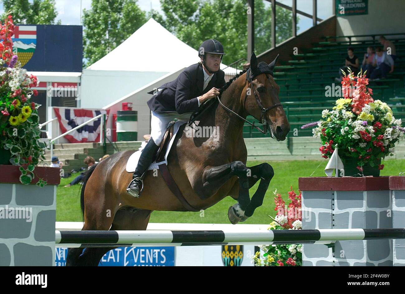 King louie hi-res stock photography and images - Alamy