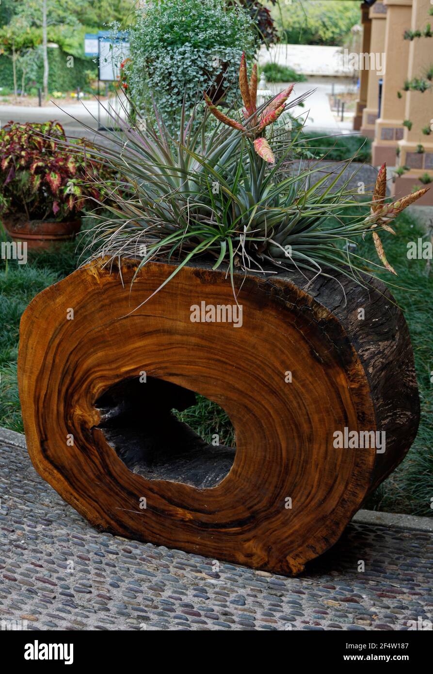 Plant holder hi-res stock photography and images - Alamy