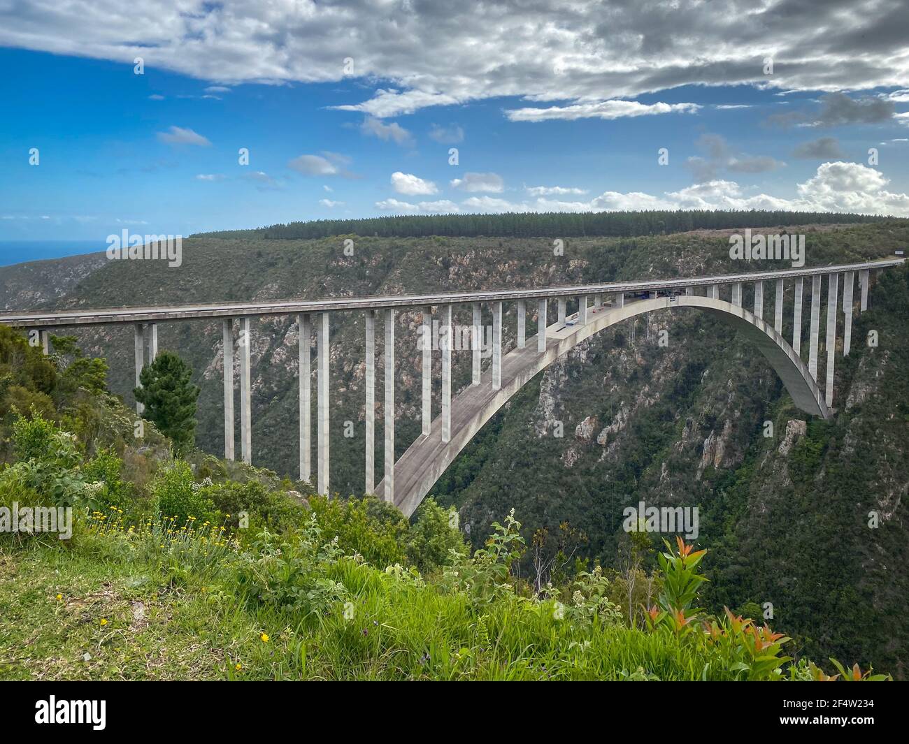 Bloukrans Bridge near Plettenberg Bay, South Africa Stock Photo - Alamy