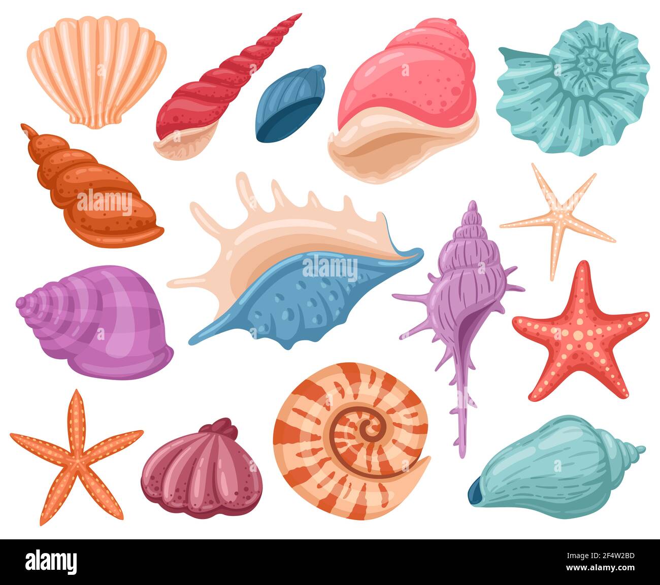 Cartoon seashells. Summer beach sea shells, underwater, ocean reef ...