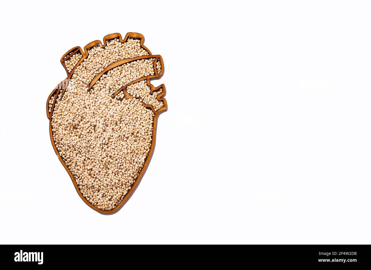 Spiral arteries Cut Out Stock Images & Pictures - Alamy