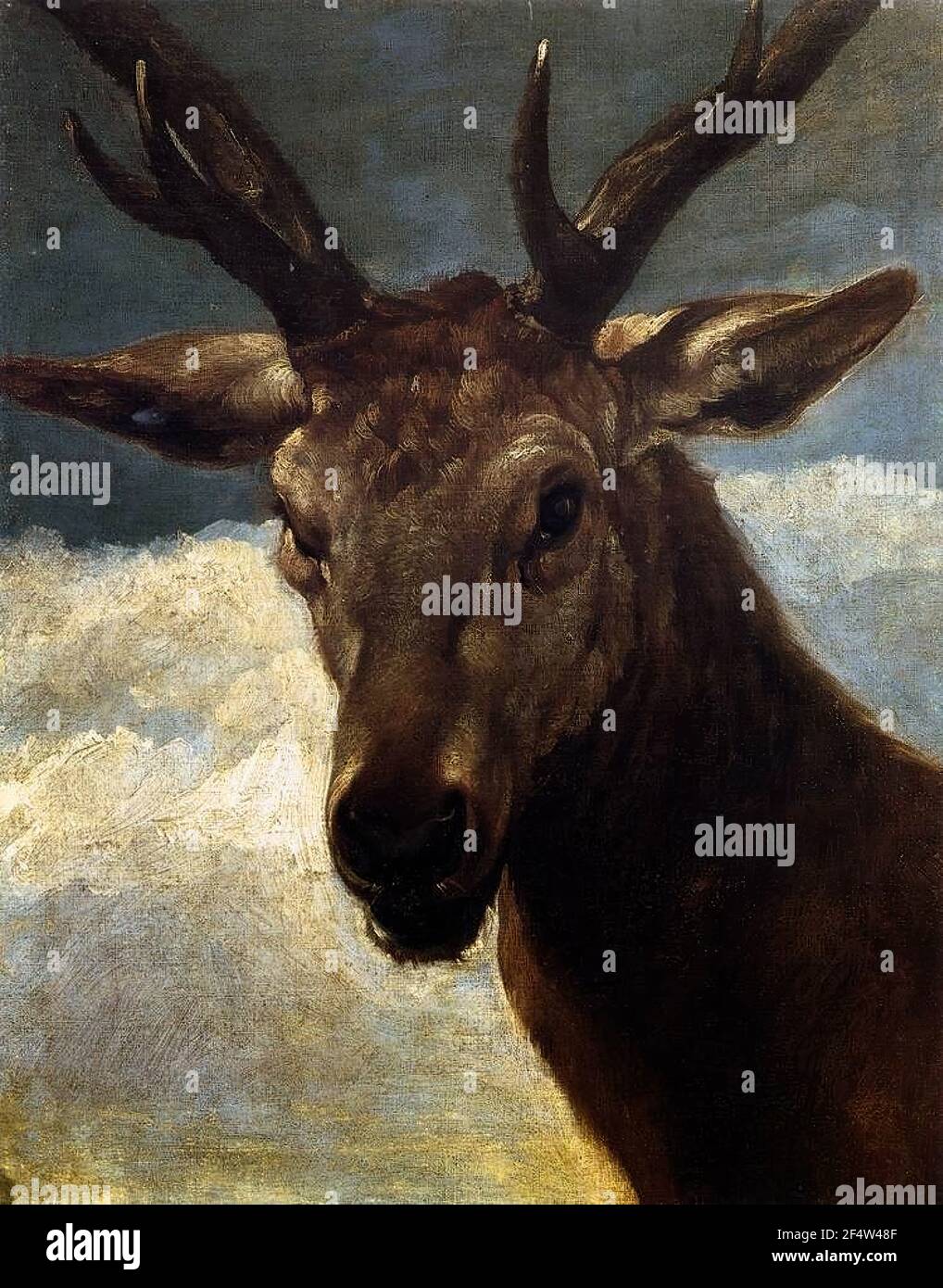 Diego Velazquez - Deer Head 1626 Stock Photo - Alamy