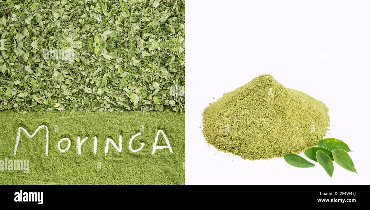 Moringa oleifera with many Benefits, Vitamins, Minerals and Multiple ...