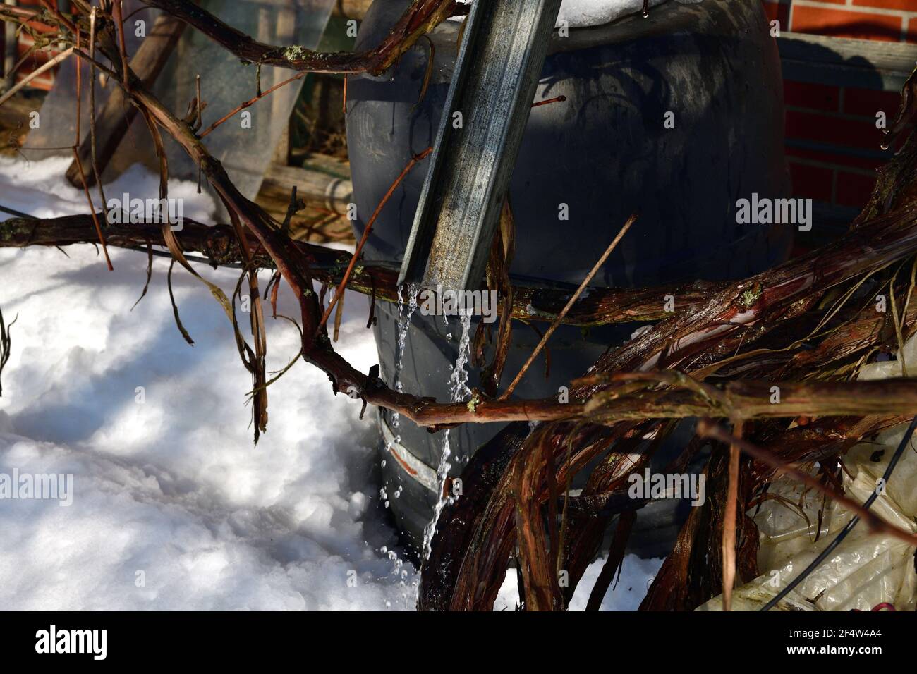 Water drops from melted snow hi-res stock photography and images - Alamy