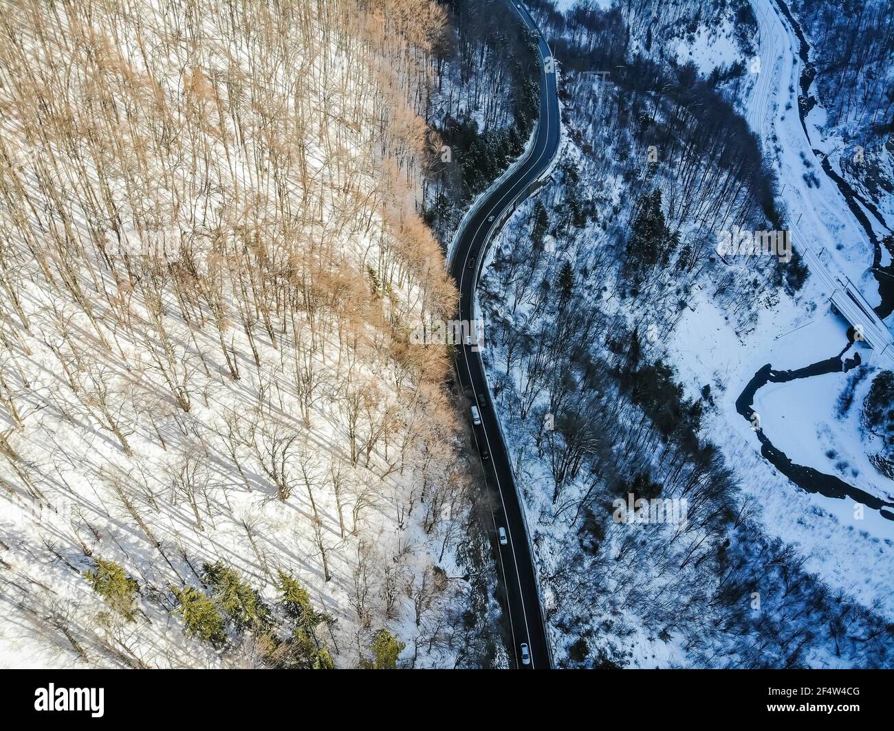 Aerial view of cars driving on the winding road surrounded by trees in ...