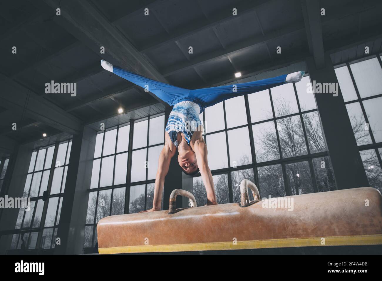 Little male gymnast training in gym, flexible and active. Caucasian fit ...