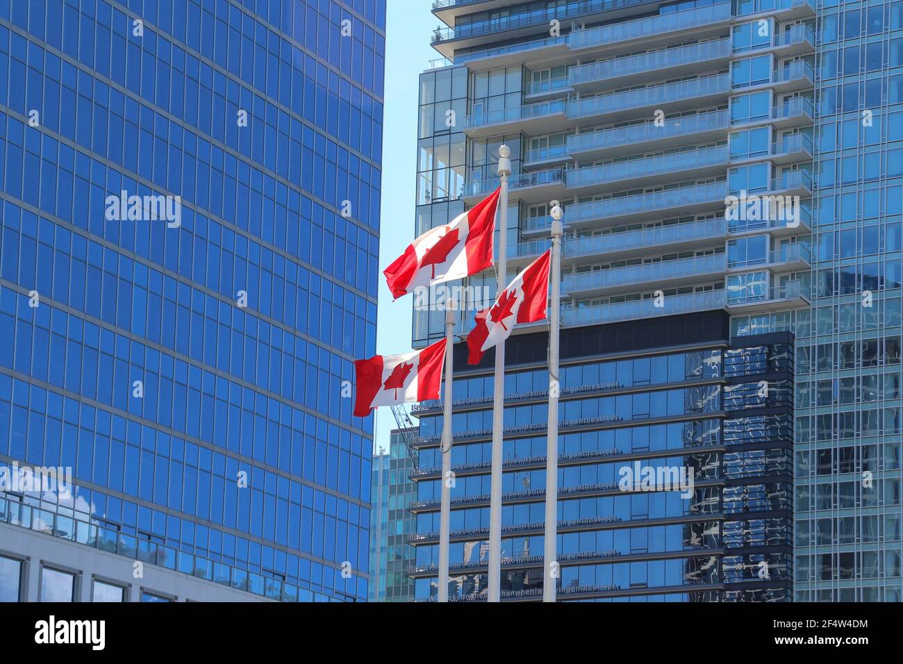 Three Canadian national flags flutter Stock Photo - Alamy