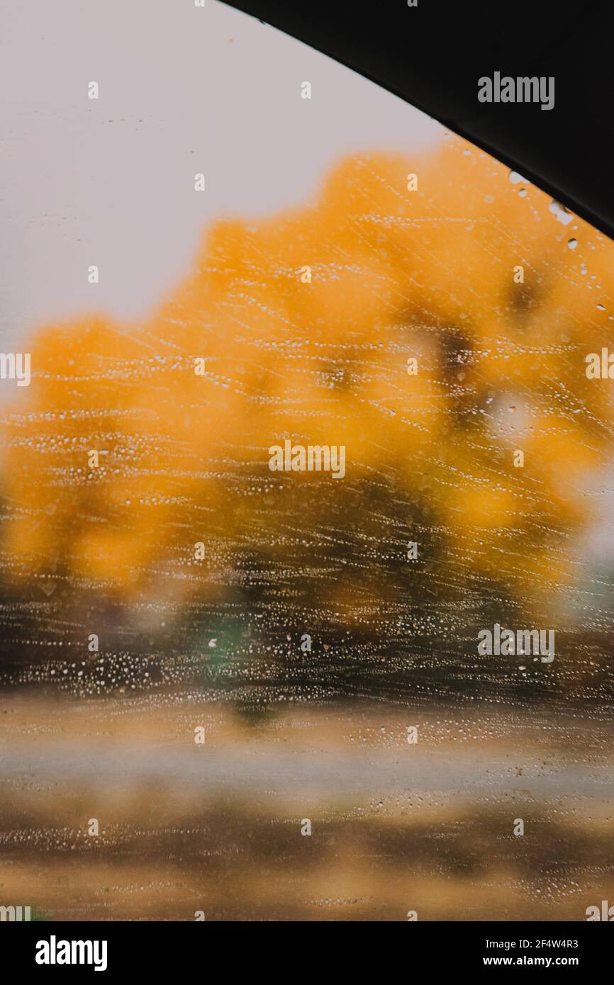Closeup of the small rain droplets on the car's window Stock Photo - Alamy