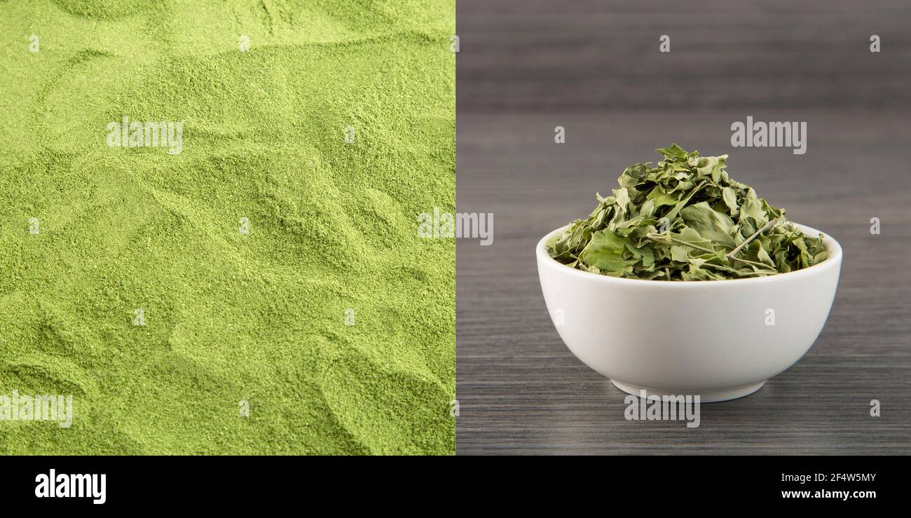 Moringa oleifera - Organic moringa powder, fresh leaves Stock Photo - Alamy