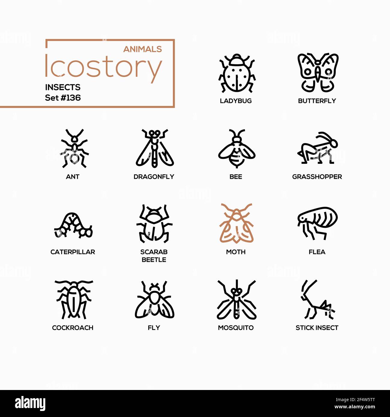 Dragonfly images Stock Vector Images - Alamy