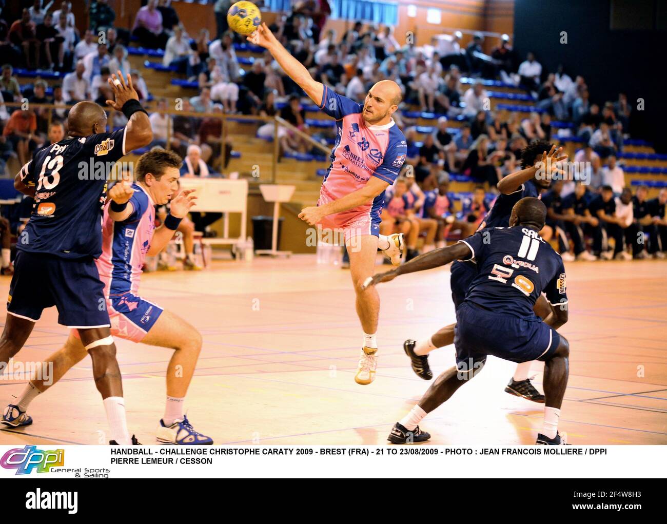 Lemeur hi-res stock photography and images - Alamy