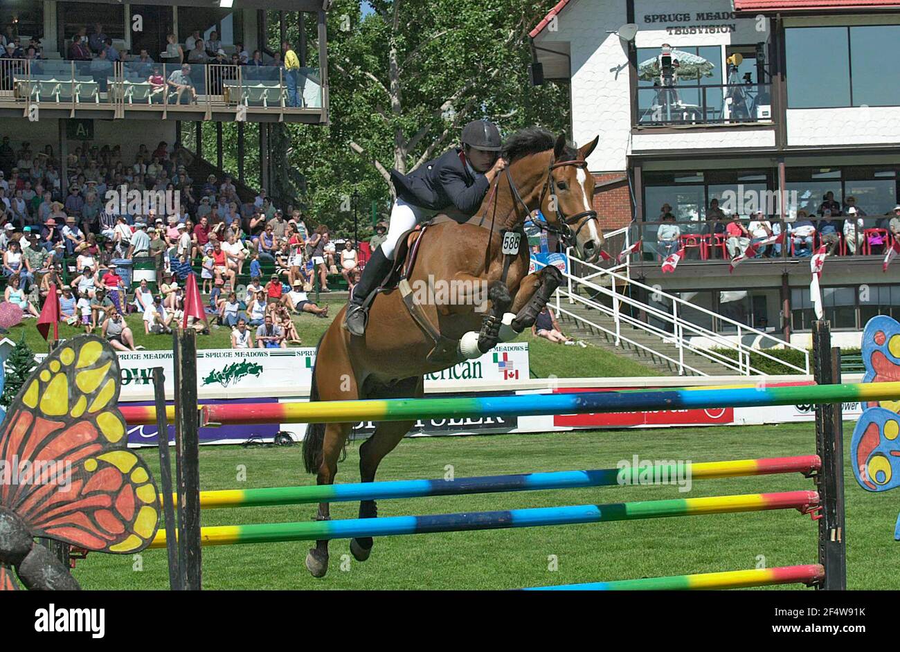 Lorenzo horse riding hi-res stock photography and images - Alamy