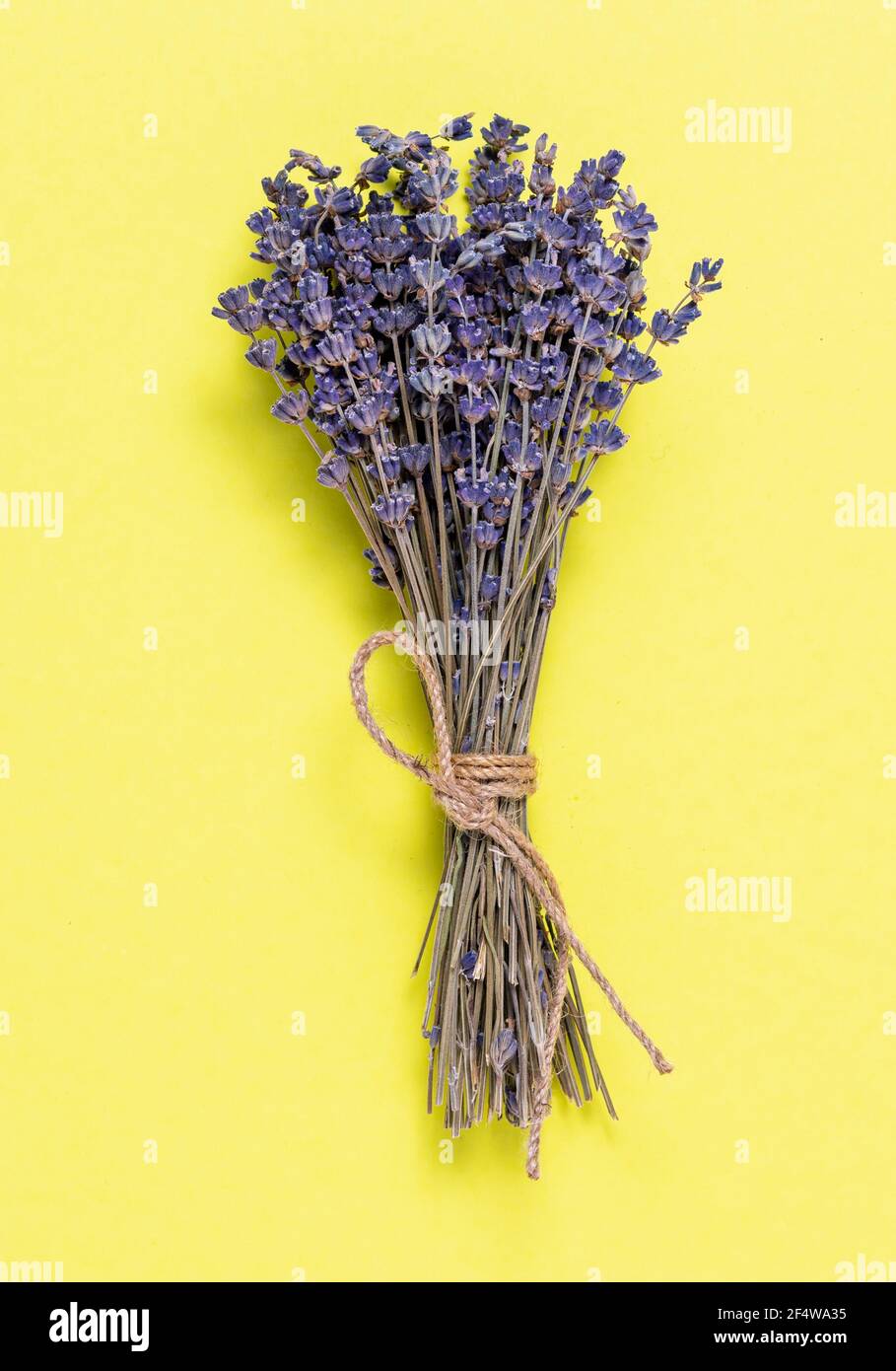 bouquet of lavender flowers on yellow background, top view Stock Photo ...