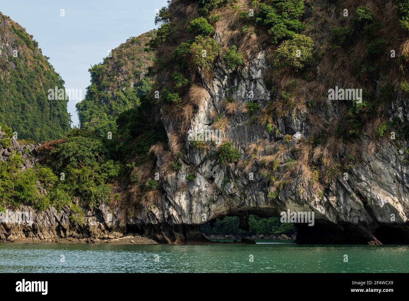 Tourist at the Luon Cave of Halong Bay in Vietnam Stock Photo - Alamy