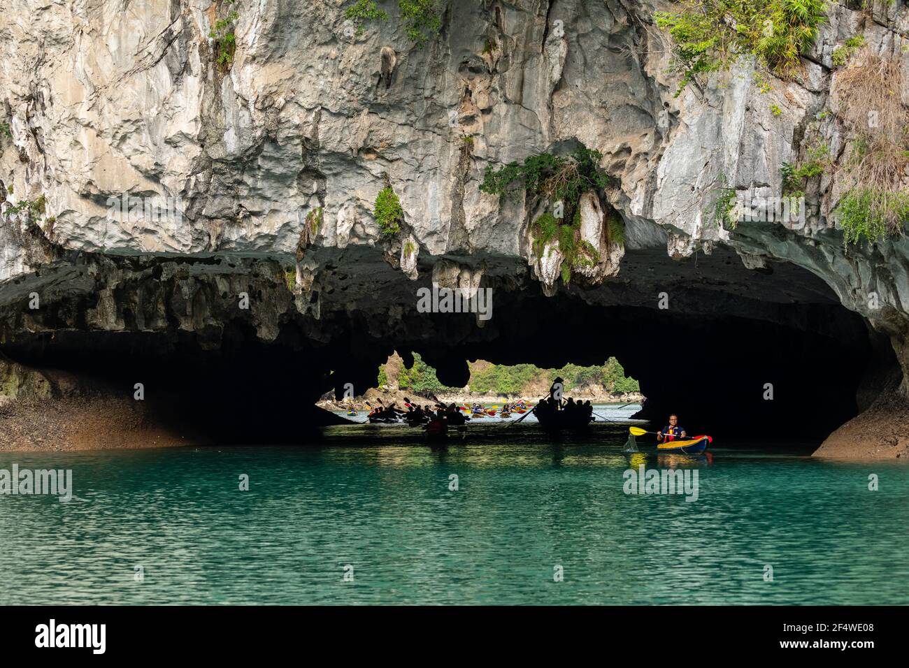 Tourist at the Luon Cave of Halong Bay in Vietnam Stock Photo - Alamy