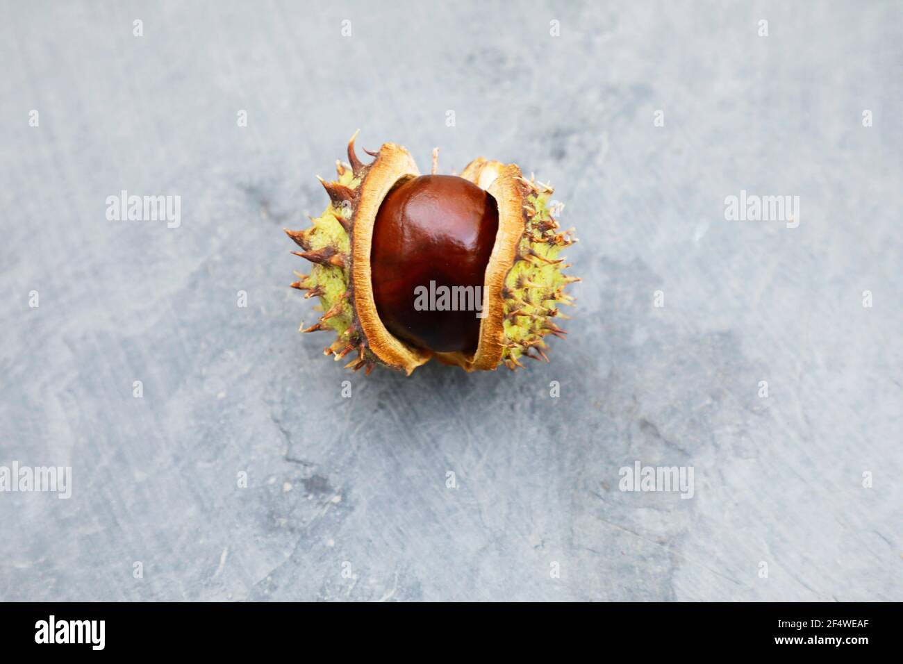 Chestnuts in the shell on a stone plate Stock Photo - Alamy
