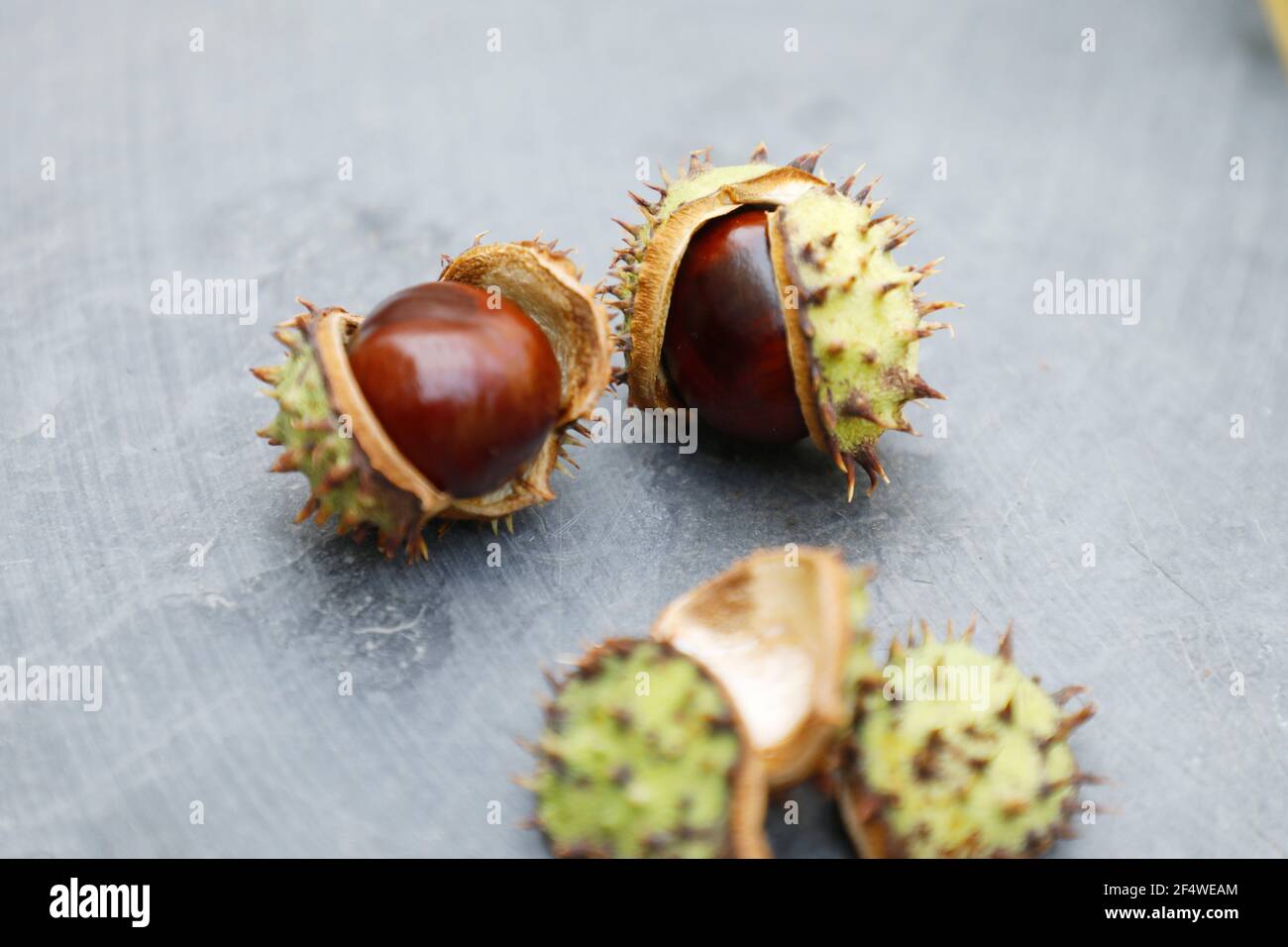 Chestnuts in the shell on a stone plate Stock Photo - Alamy
