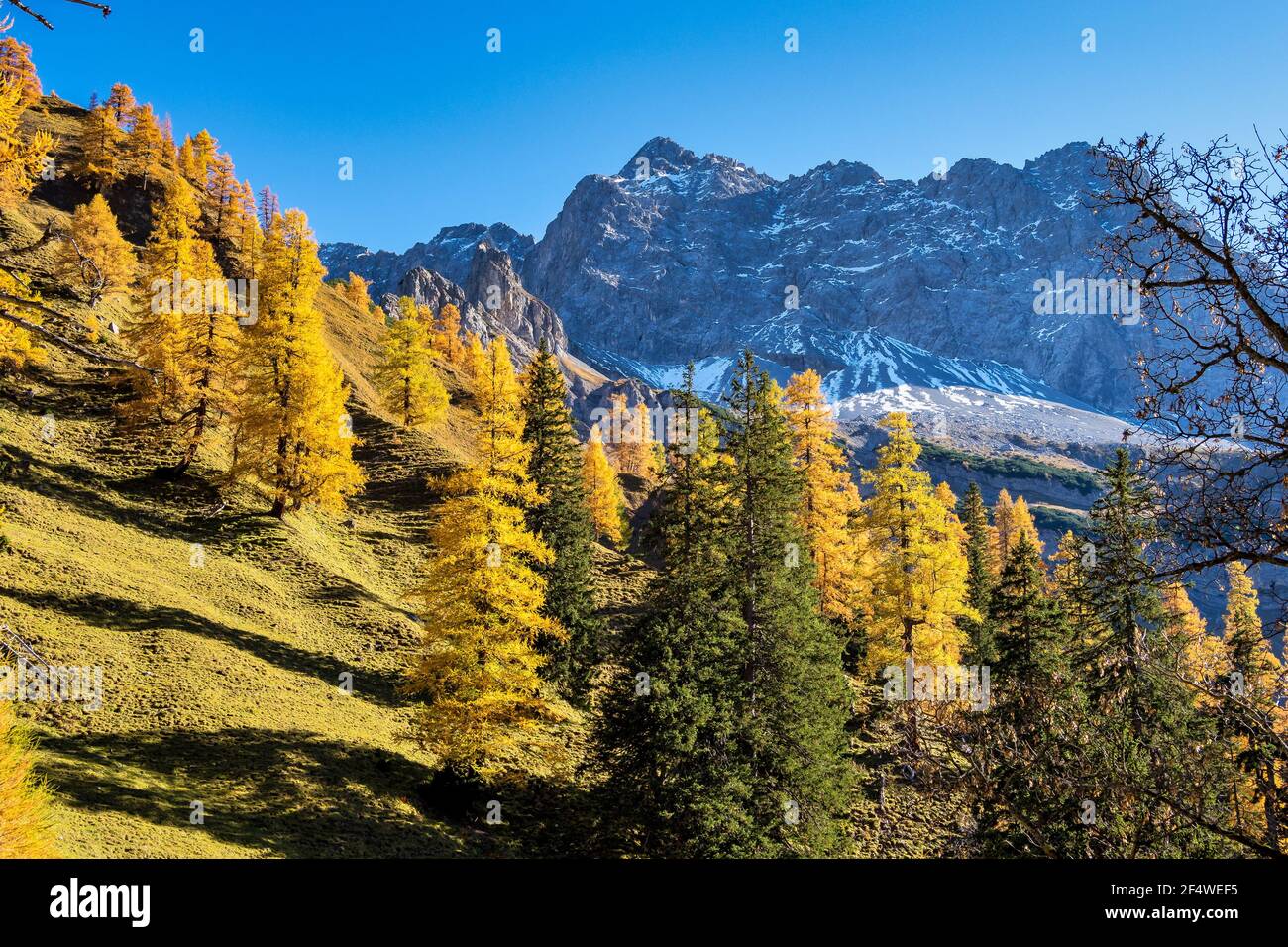 Autumn View Of The Maple Trees At Ahornboden Karwendel Mountains