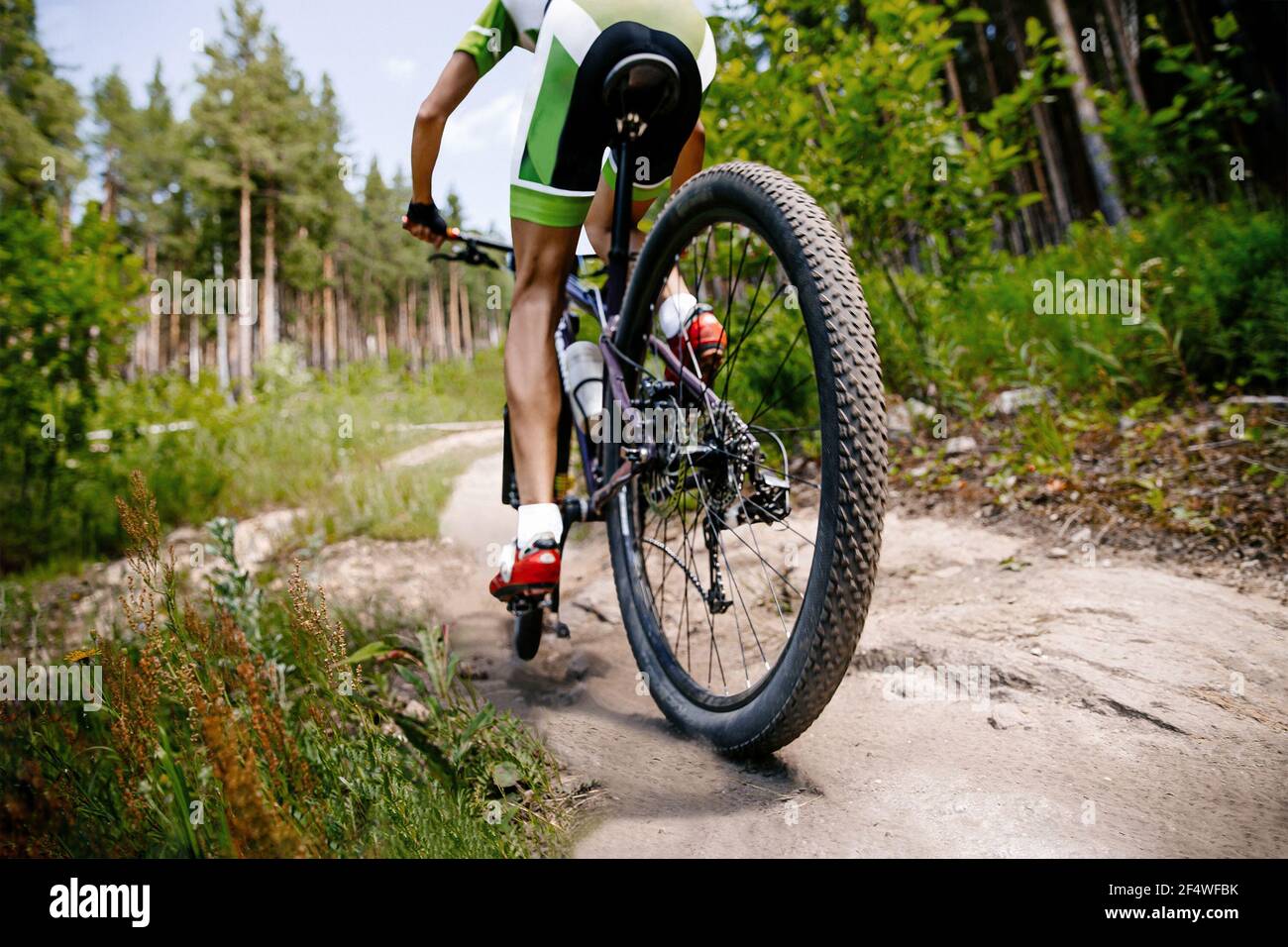 back male cyclist riding forest trail on mountain bike Stock Photo - Alamy