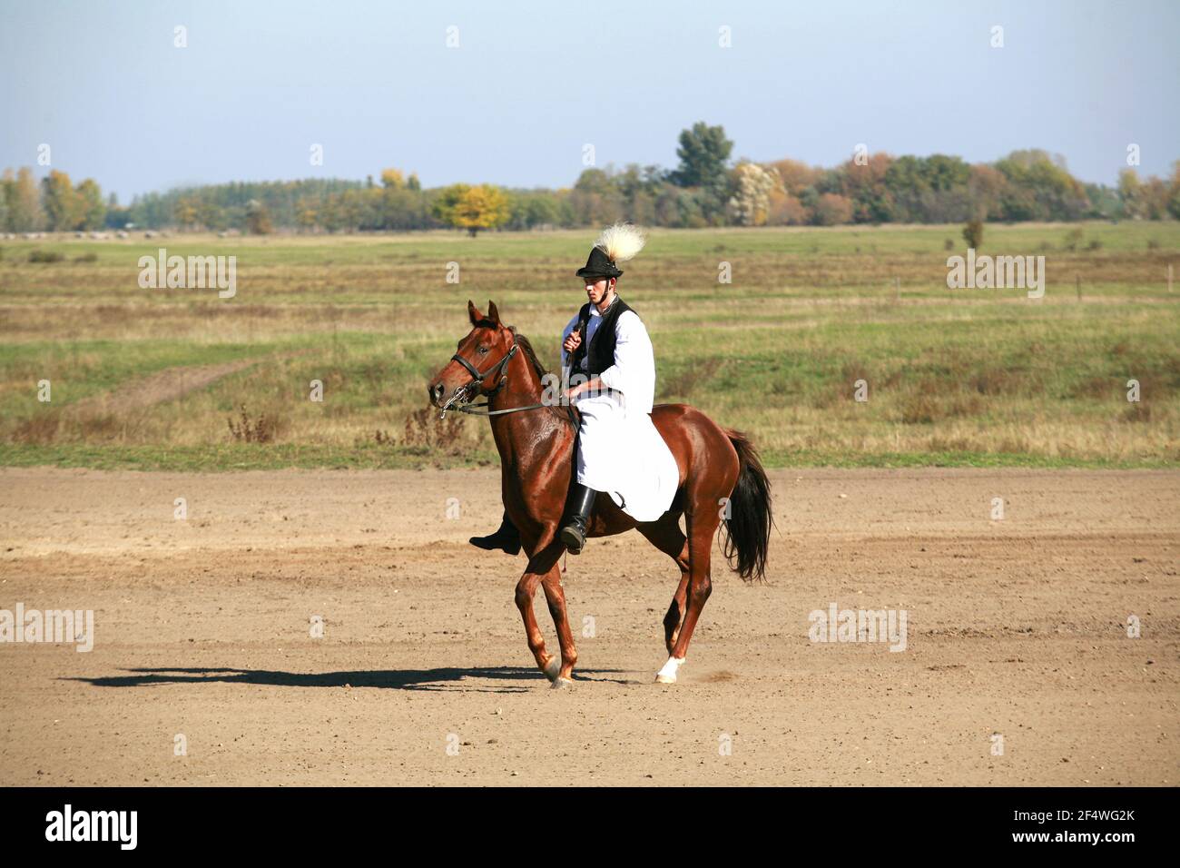 PUSZTA, HUNGARY, SEPTEMBER, 04. 2020: Hungarian herdsmen as csikos in ...