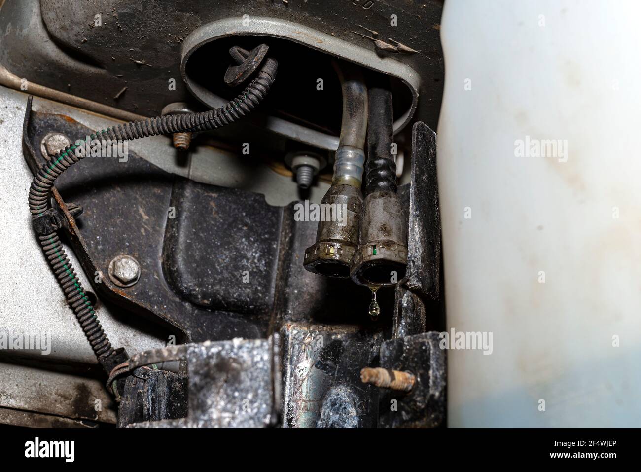 Fuel line connections coming from the bottom of the engine compartment ...