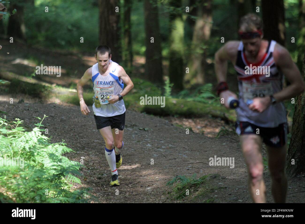 Lightfoot trail hi-res stock photography and images - Alamy