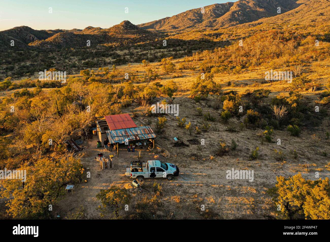 Proyecto de madera hi-res stock photography and images - Alamy