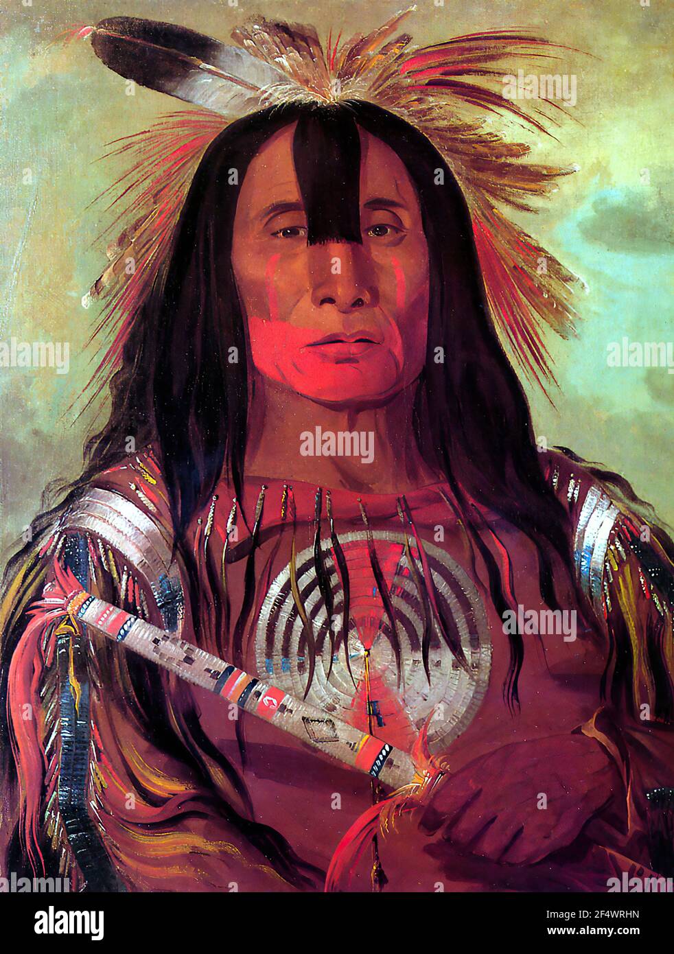 Bull head back hi-res stock photography and images - Alamy