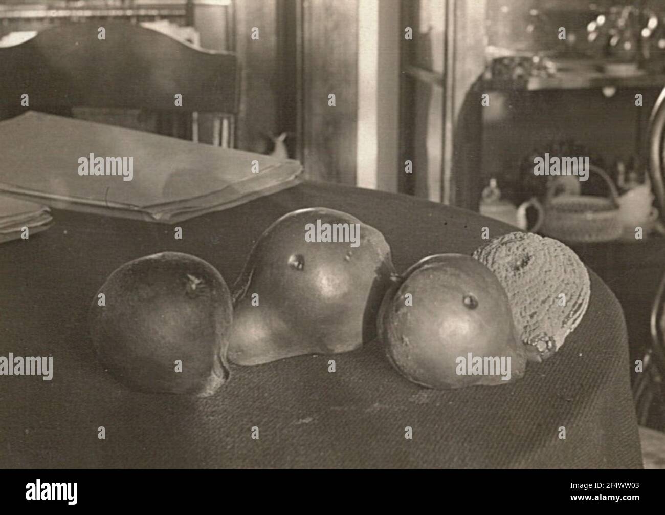 Europe. Fruit songs, infection at quince Stock Photo - Alamy