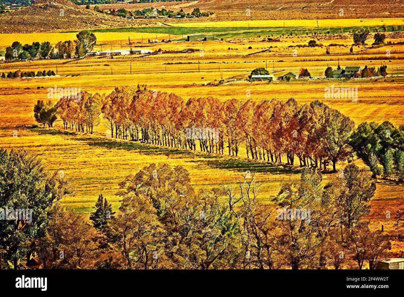 Fall In Carson Valley - A digital photo painting of the southern ...