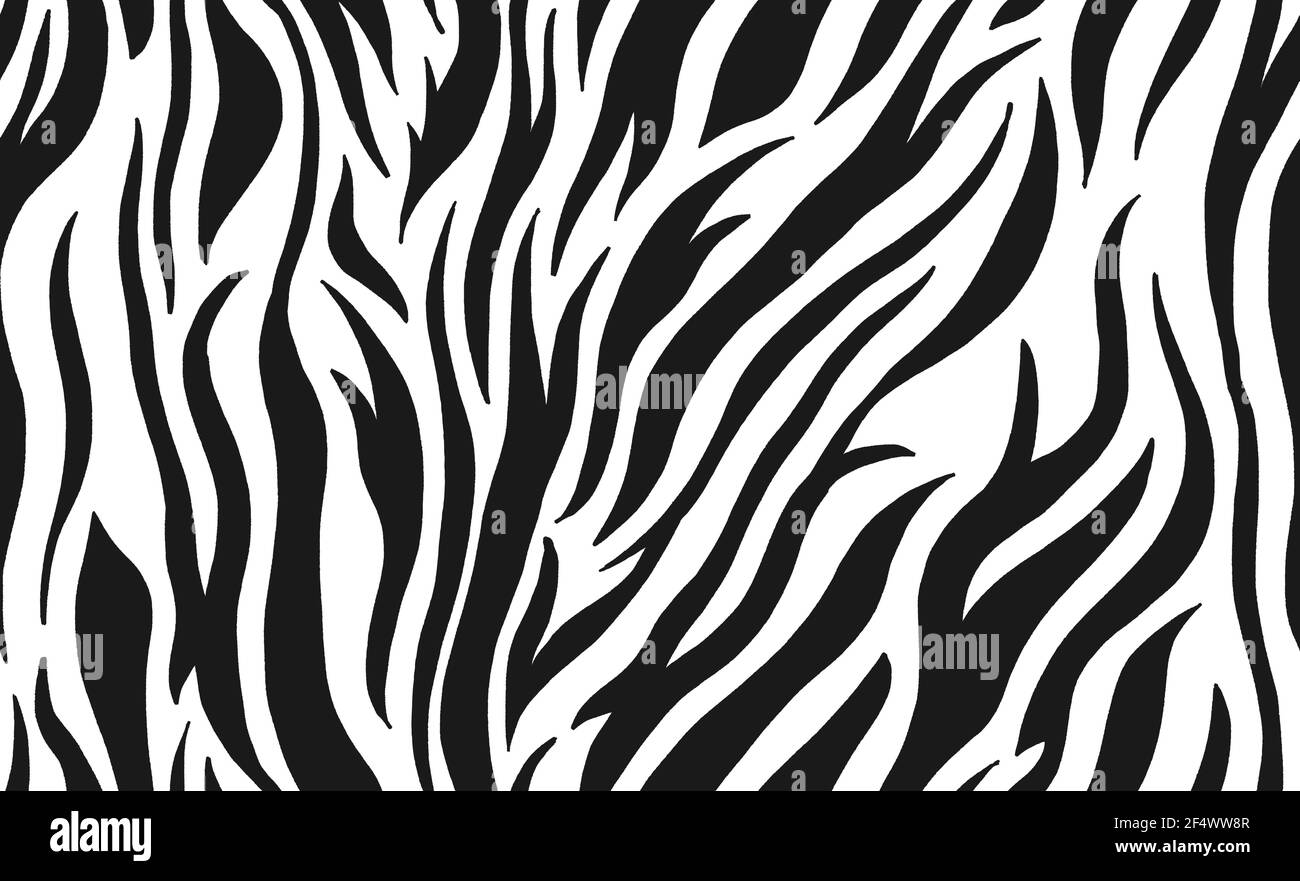 Zebra stripes pattern vector design. Zebra stripes fashion print ...
