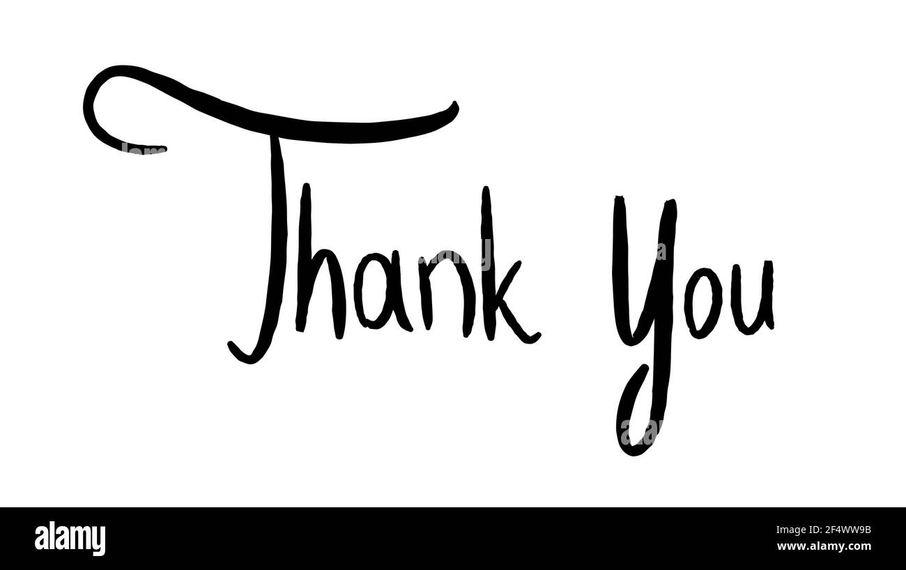 Hand written thank you words. Thank you vector Stock Vector Image & Art ...