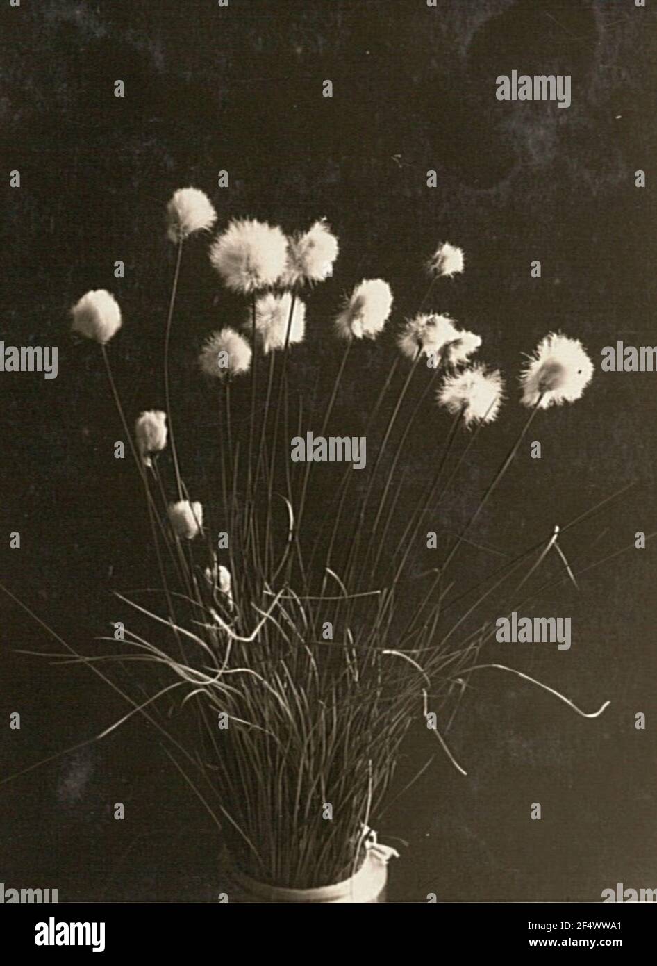 Scheiden hi-res stock photography and images - Alamy